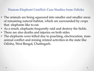 HUMAN WILDLIFE CONFLICT.....------.........pptx