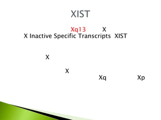 Human y chromosome | PPTX