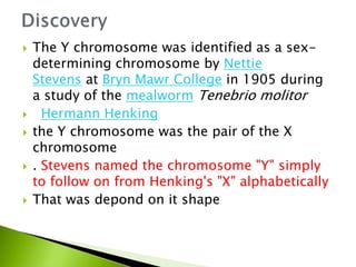 Human y chromosome | PPTX