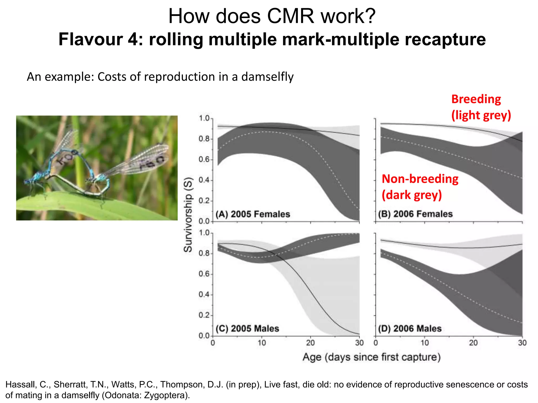 Capture Mark Recapture Cmr As A Method For Species Monitoring At A