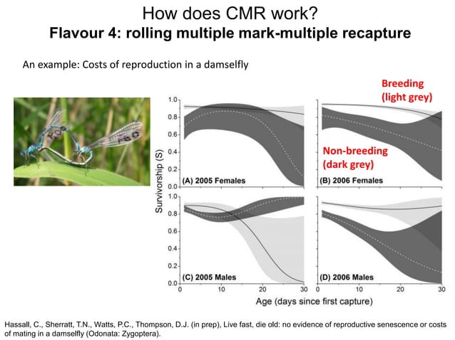 Capture-mark-recapture (CMR) as a method for species monitoring at a ...