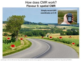 Capture-mark-recapture (CMR) as a method for species monitoring at a ...