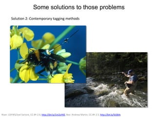 Capture-mark-recapture (CMR) as a method for species monitoring at a ...