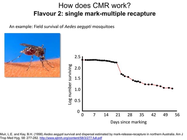 Capture-mark-recapture (CMR) as a method for species monitoring at a ...