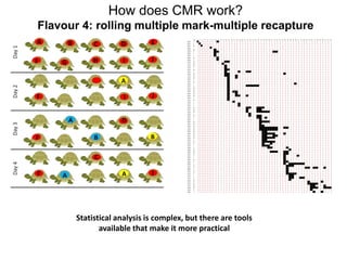Capture-mark-recapture (CMR) as a method for species monitoring at a ...