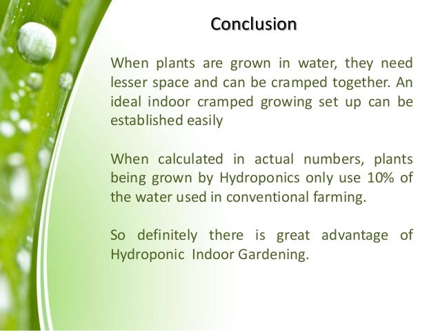 How to Benefit from Hydroponic Indoor Gardening