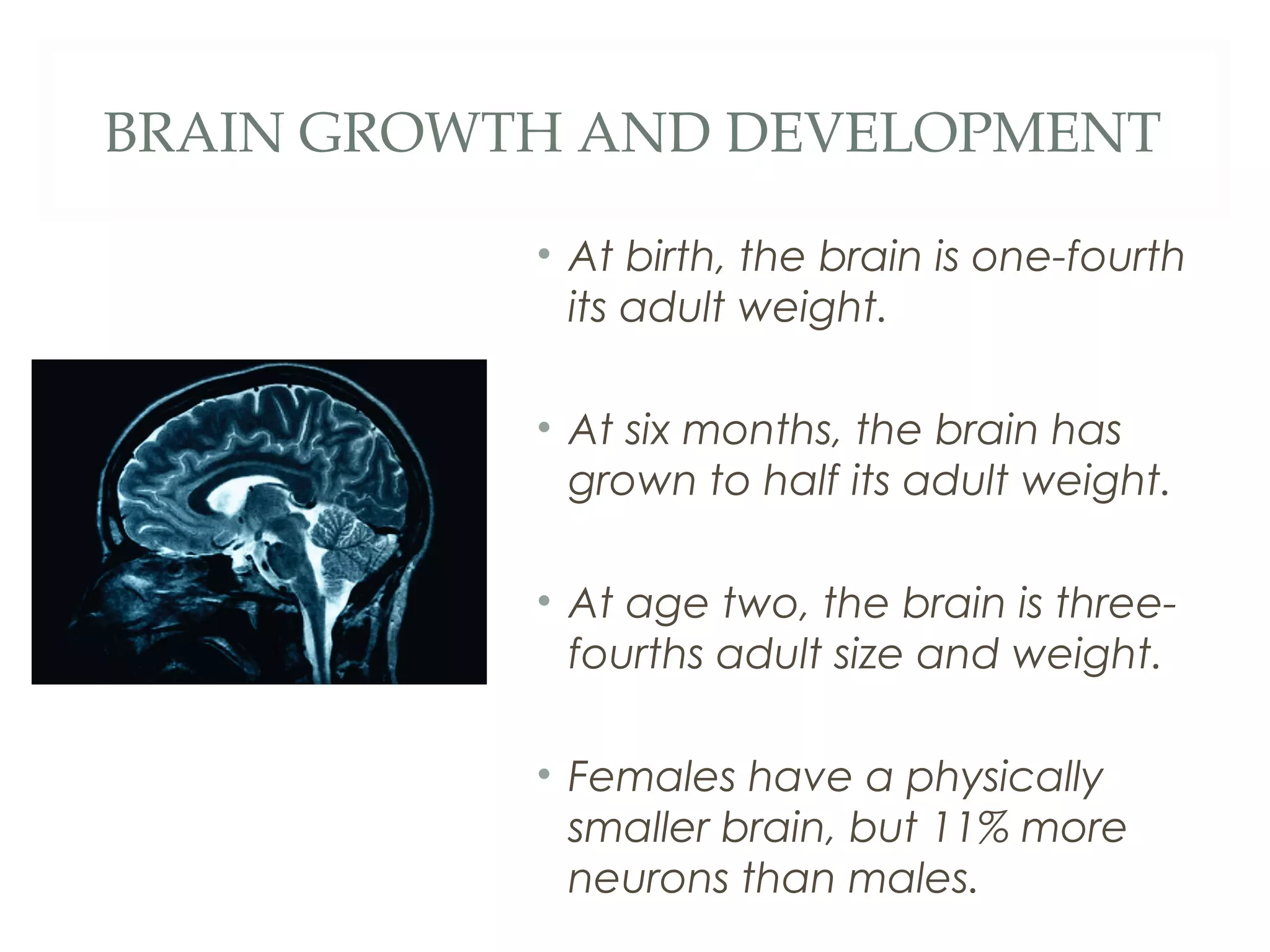 Human Development-Chapter 9, Intellectual Development of Infants | PPT