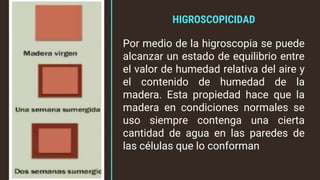 HUMEDAD_DE_LA_MADERA[1] [Solo lectura].pptx