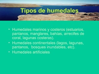 Humedal Blog | PPT
