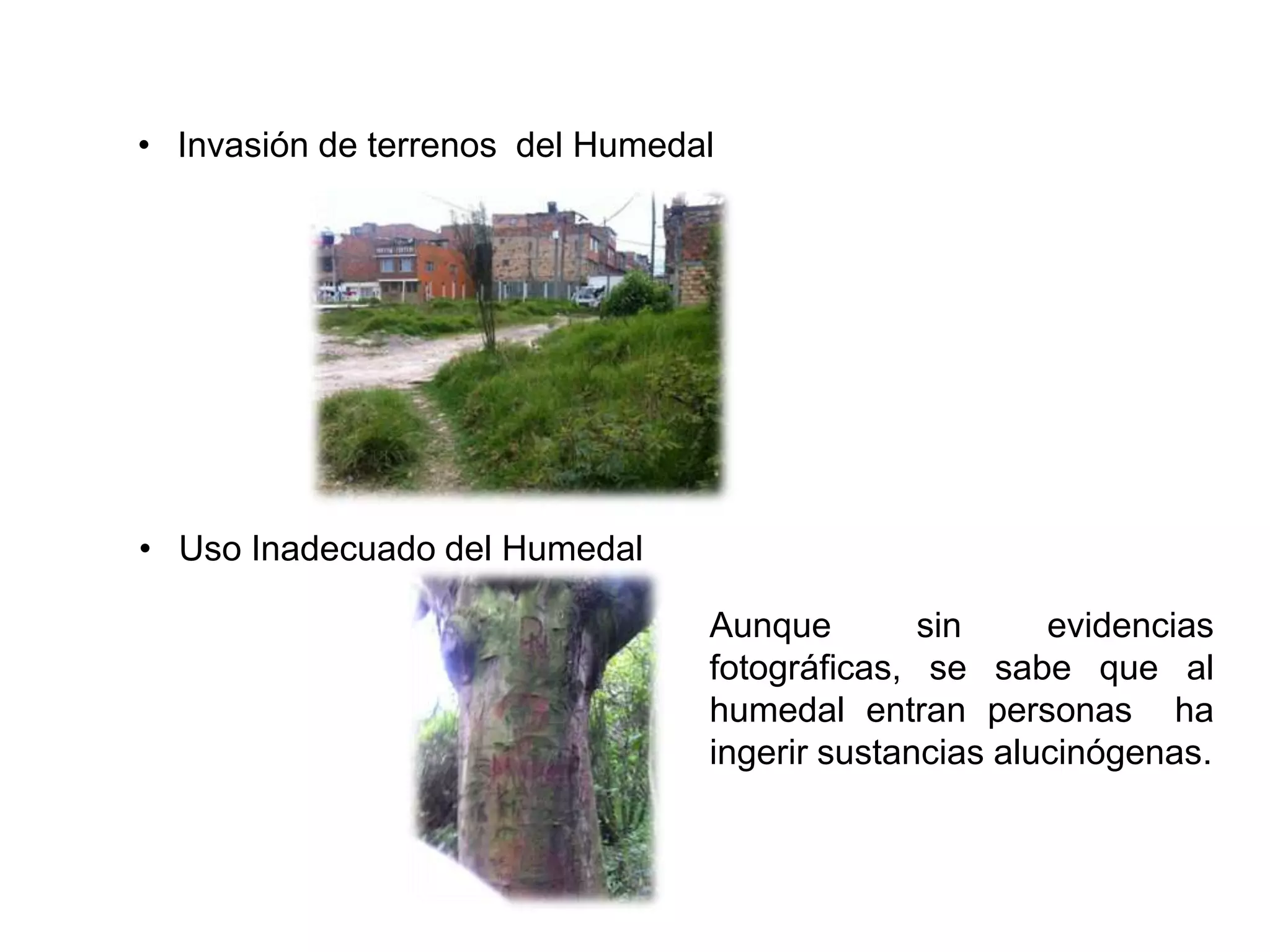 Humedal de la conejera (2) | PPT