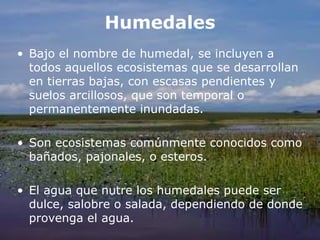 Humedales | PPT