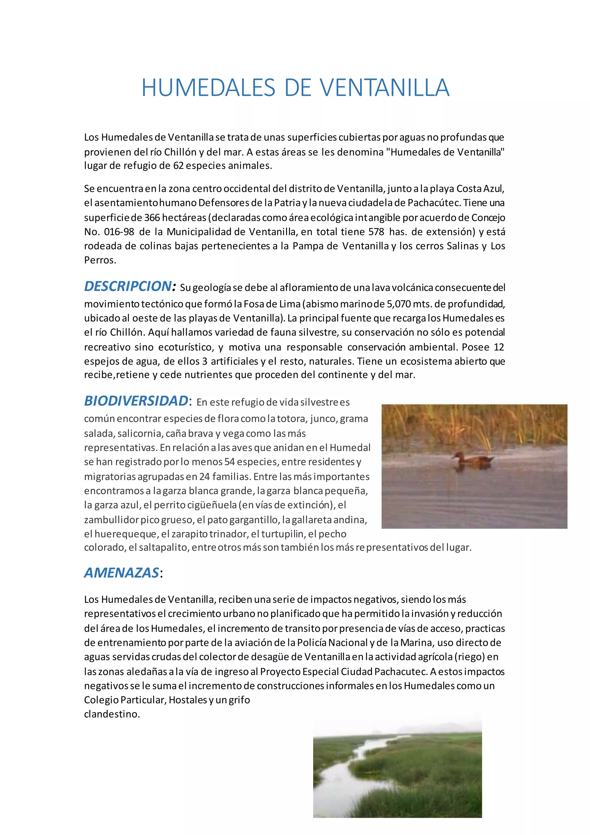 Humedales de ventanilla 3e | DOCX