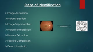 Human Retina Identification | PDF