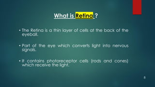 Human Retina Identification | PDF