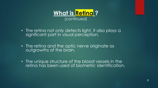 Human Retina Identification | PDF