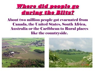 The Blitz - Humerah & Suraiyah | PPT