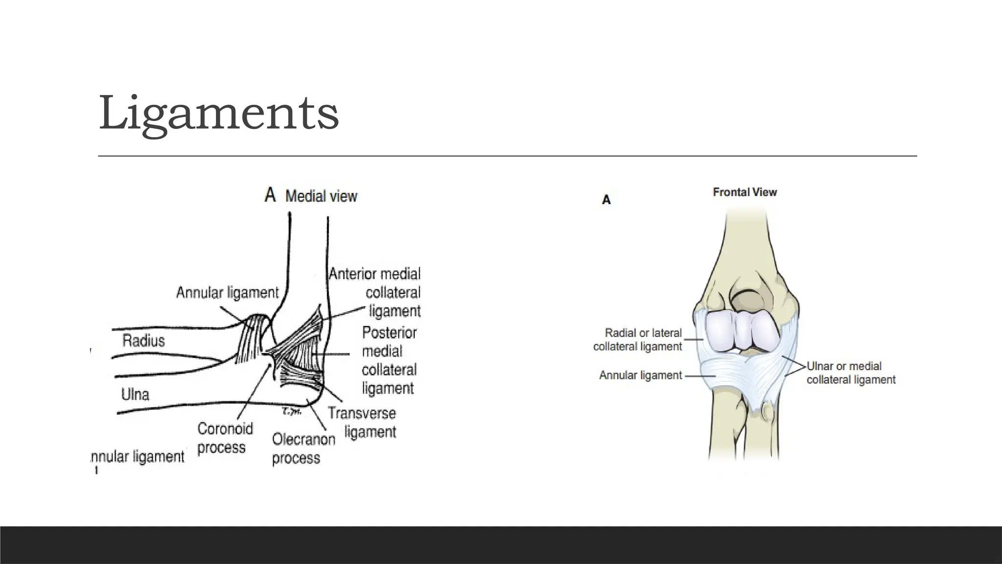 Humeroradial and Humeroulnar joints.pptx
