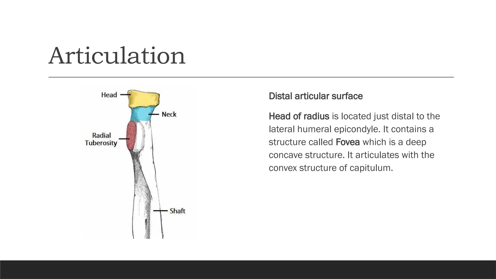 Humeroradial and Humeroulnar joints.pptx