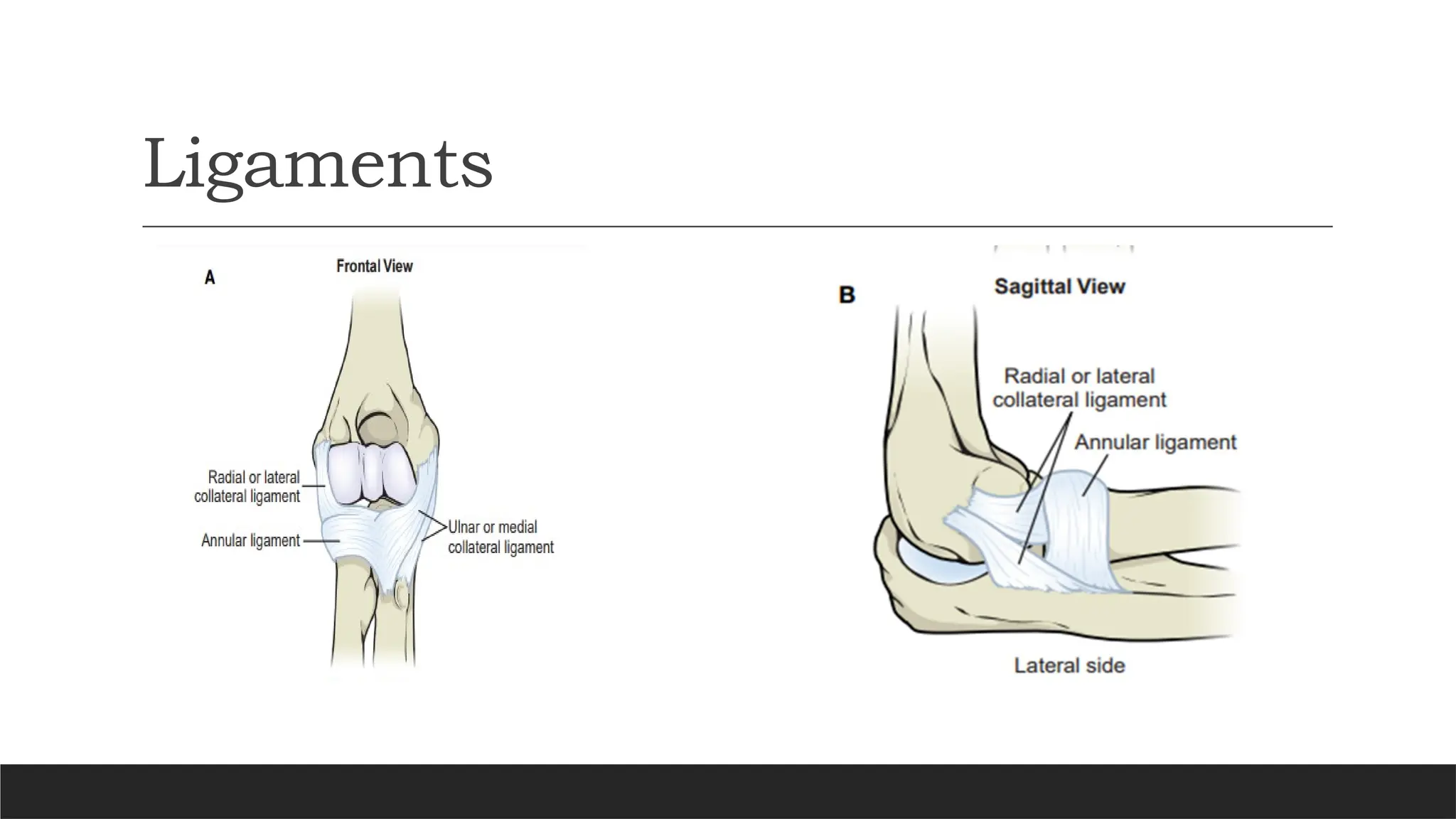 Humeroradial and Humeroulnar joints.pptx