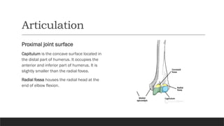 Humeroradial and Humeroulnar joints.pptx