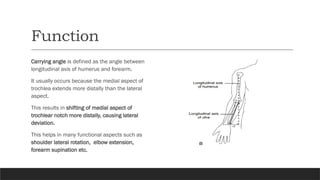 Humeroradial and Humeroulnar joints.pptx