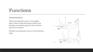 Humeroradial and Humeroulnar joints.pptx