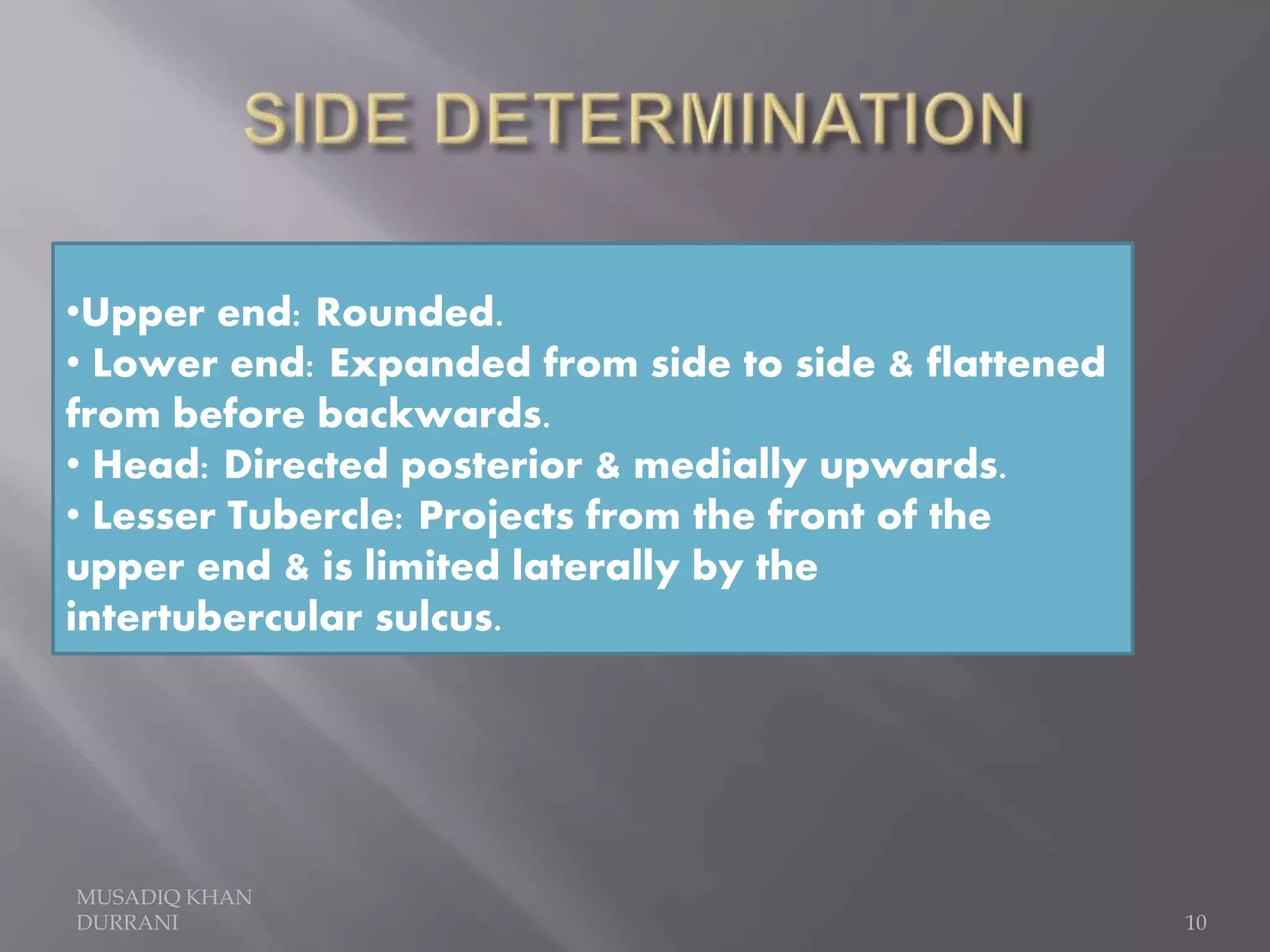 Humerus Bone and attachments | PPTX
