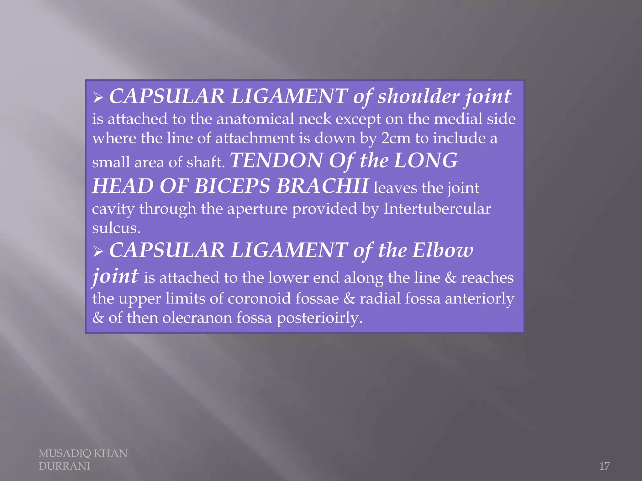 Humerus Bone and attachments | PPTX