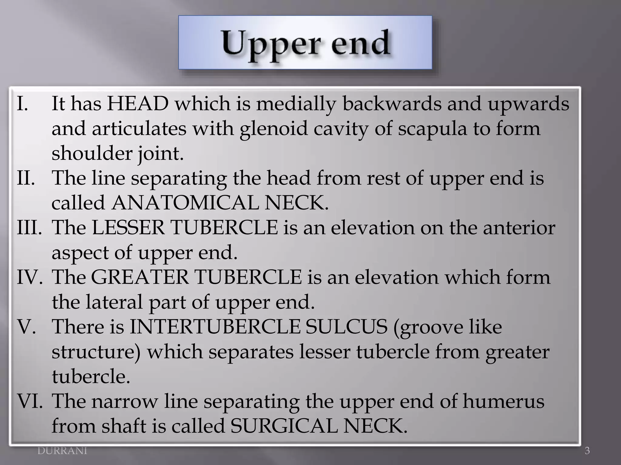 Humerus Bone and attachments | PPTX