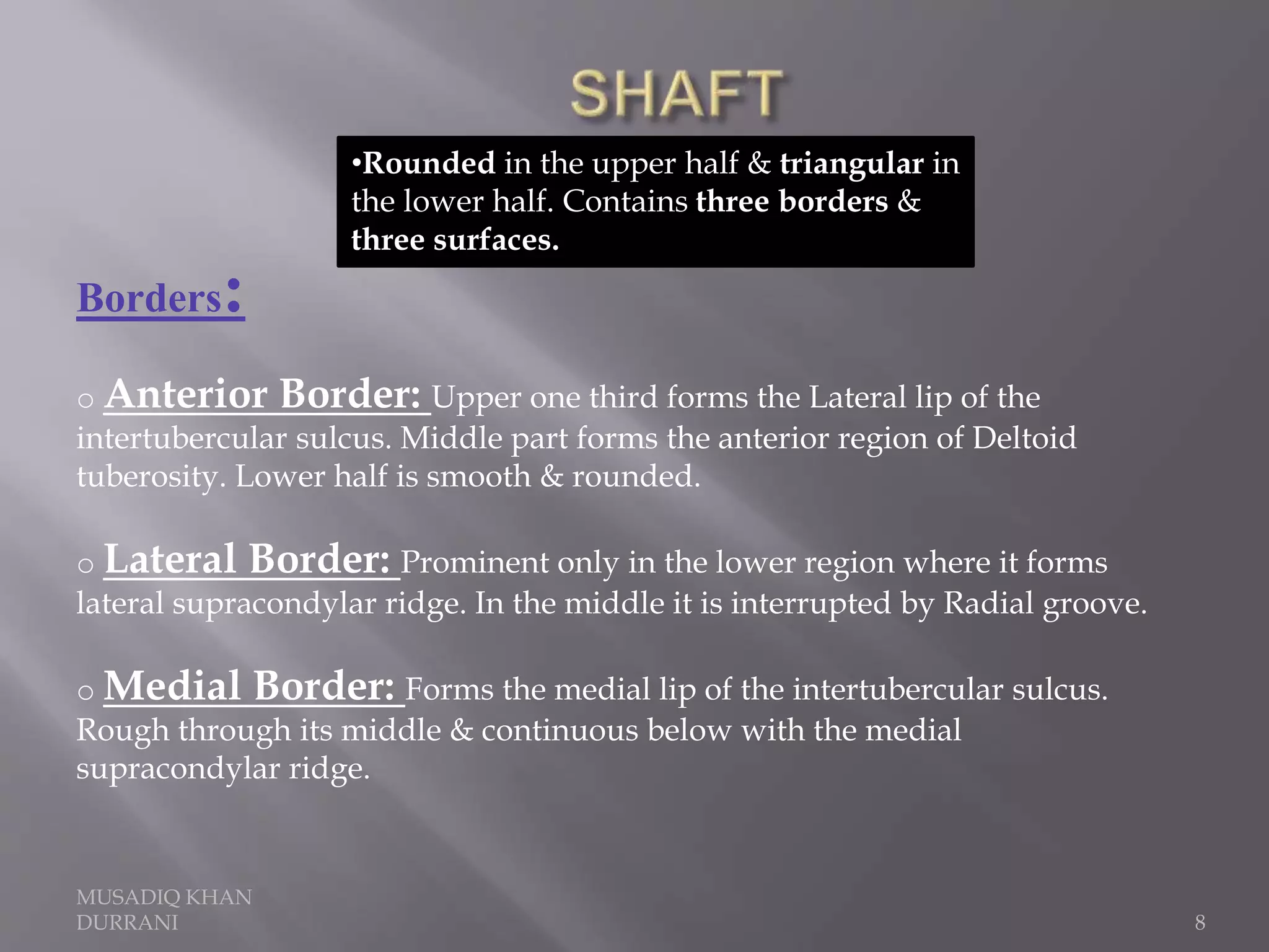 Humerus Bone and attachments | PPTX