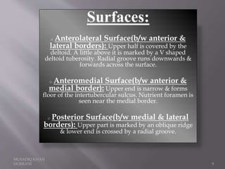 Humerus Bone and attachments | PPTX