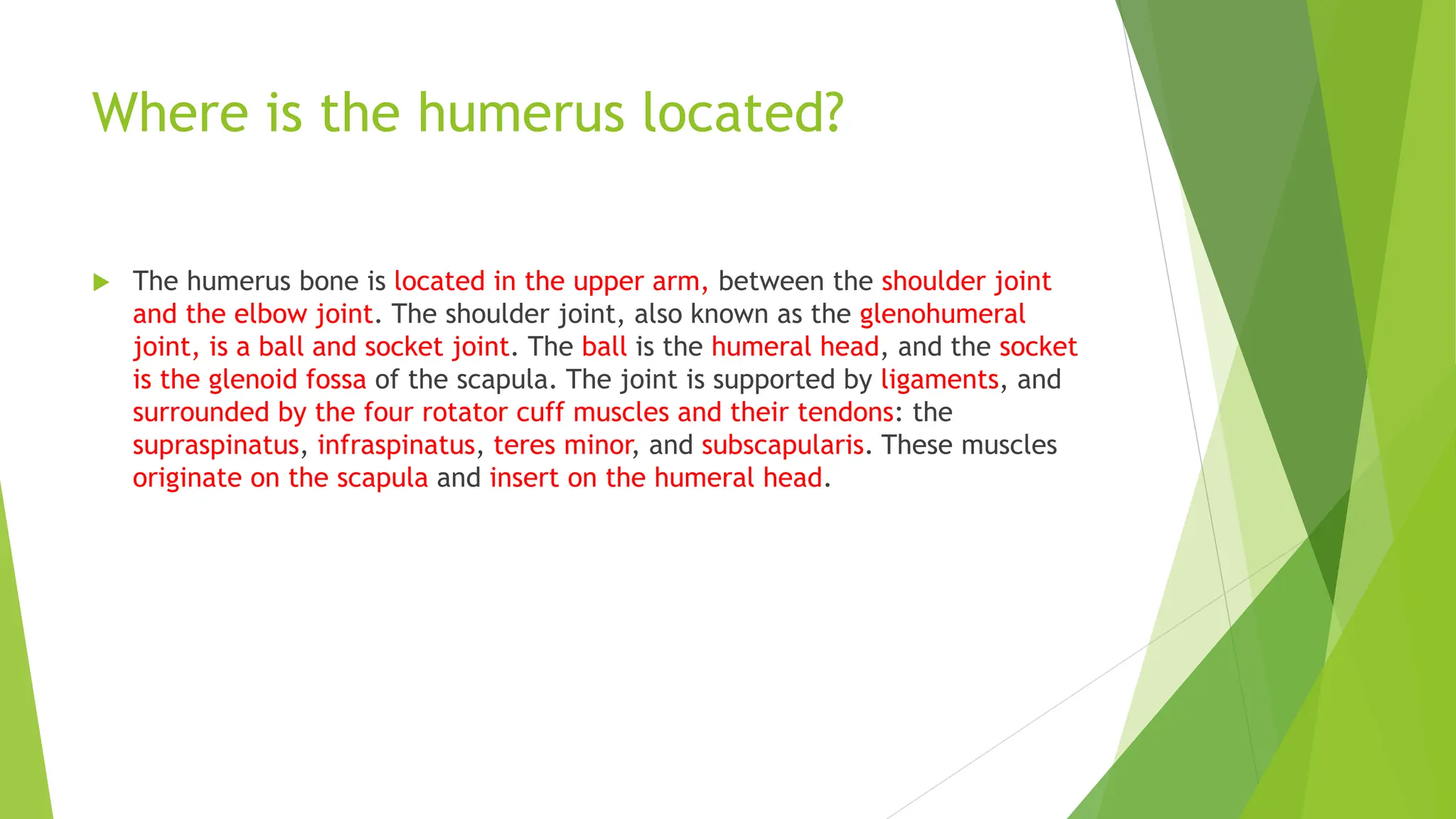 Humerus bone anatomy pptx Upperlimb 12345 | PDF