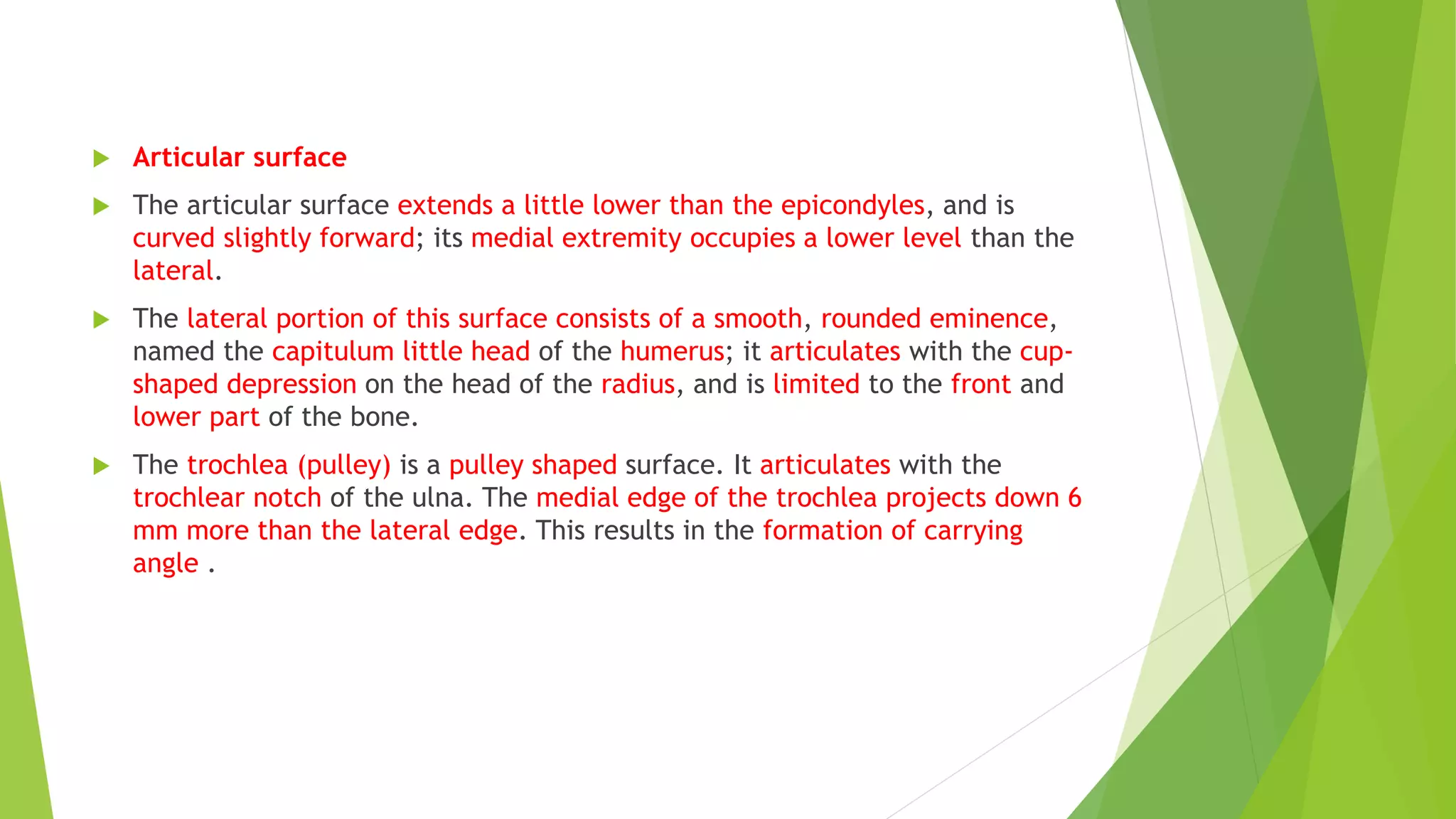 Anatomy of Humerus | PPTX