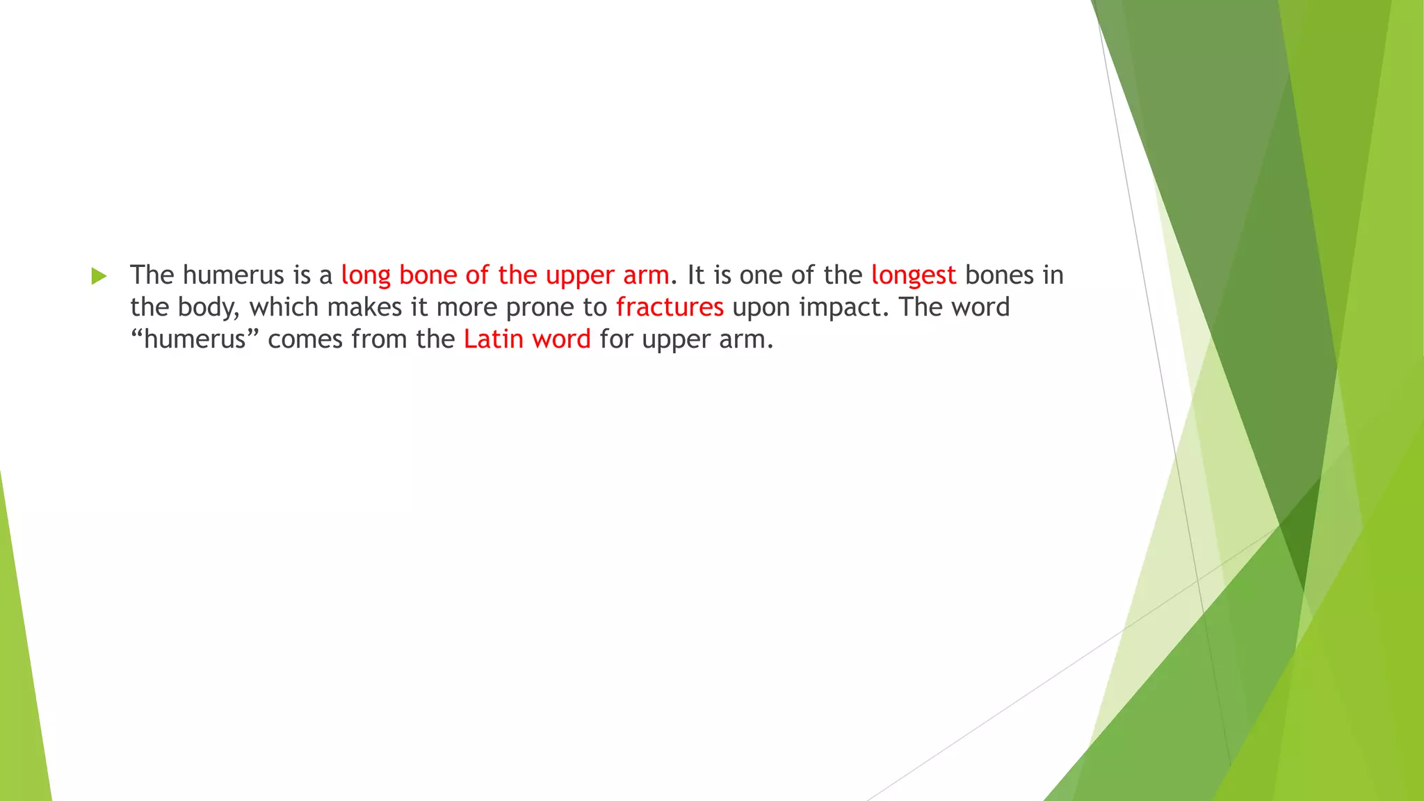 Anatomy of Humerus | PPTX