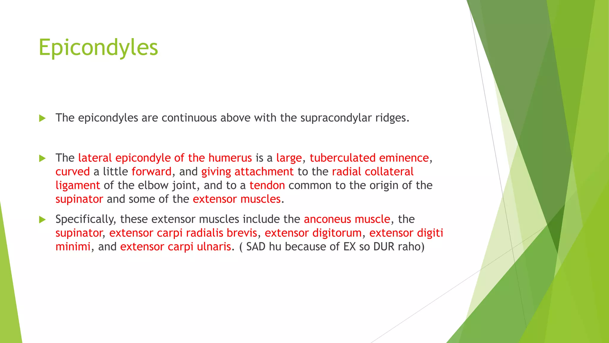 Anatomy of Humerus | PPTX