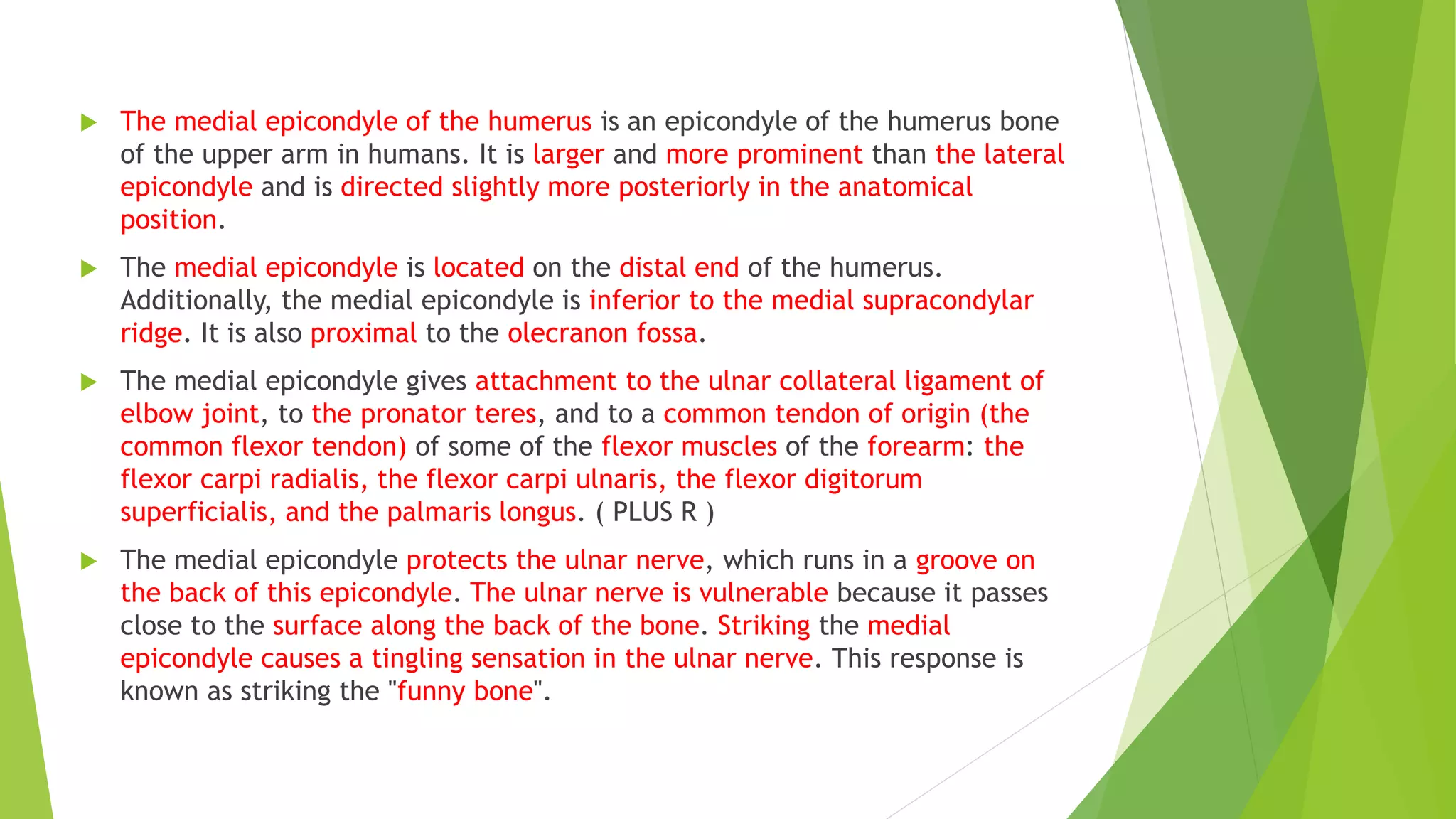 Anatomy of Humerus | PPTX