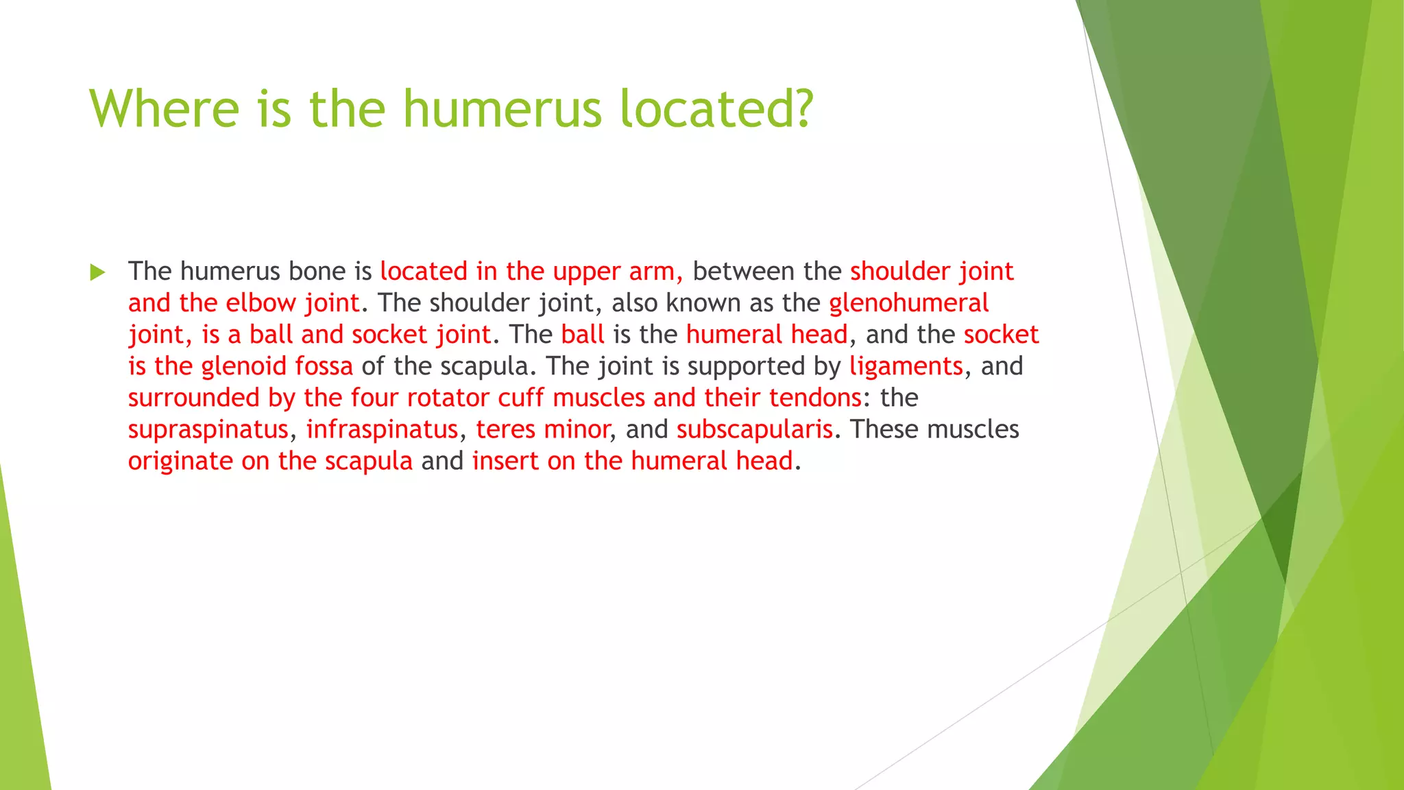 Anatomy of Humerus | PPTX