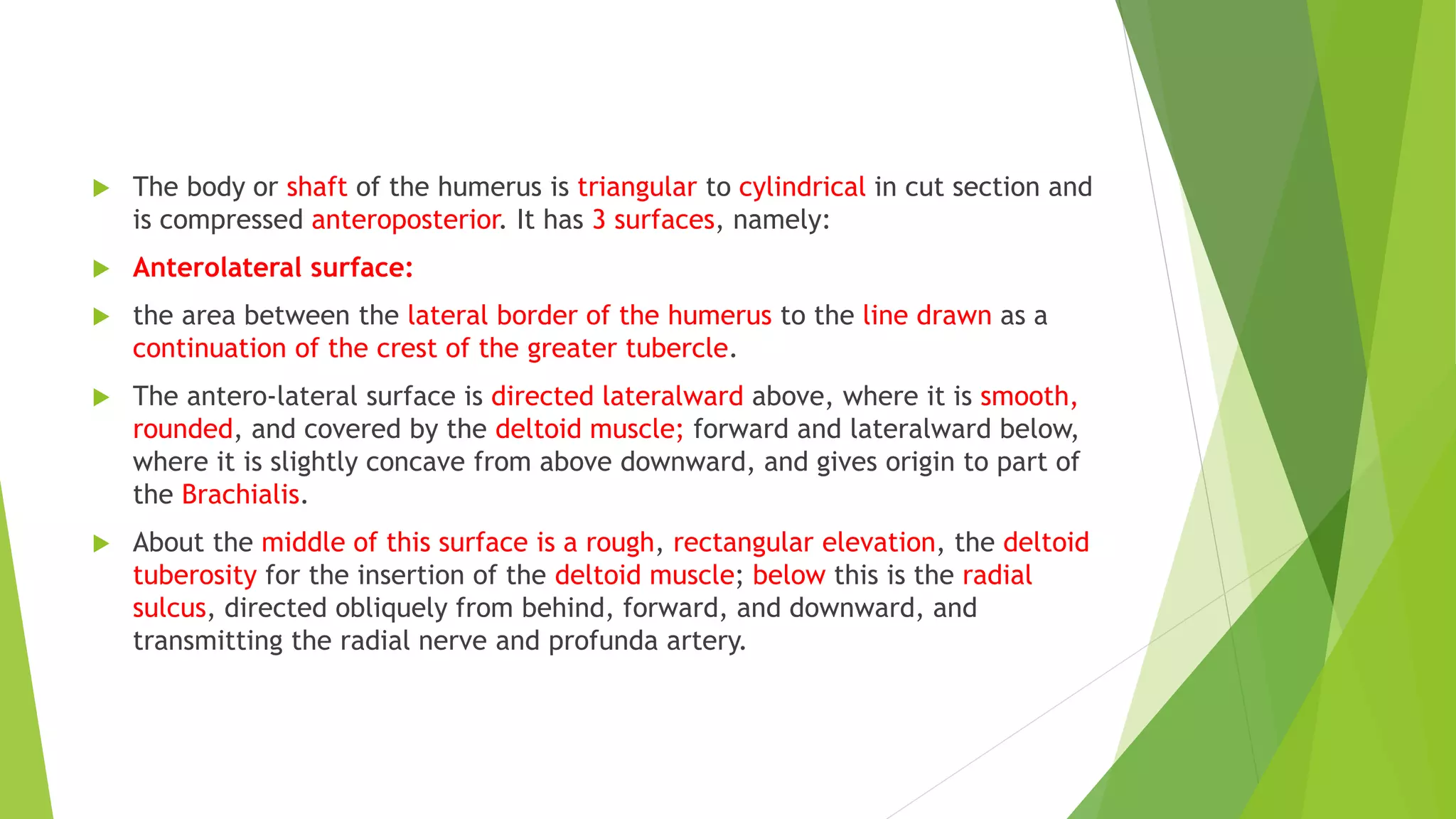 Anatomy of Humerus | PPTX