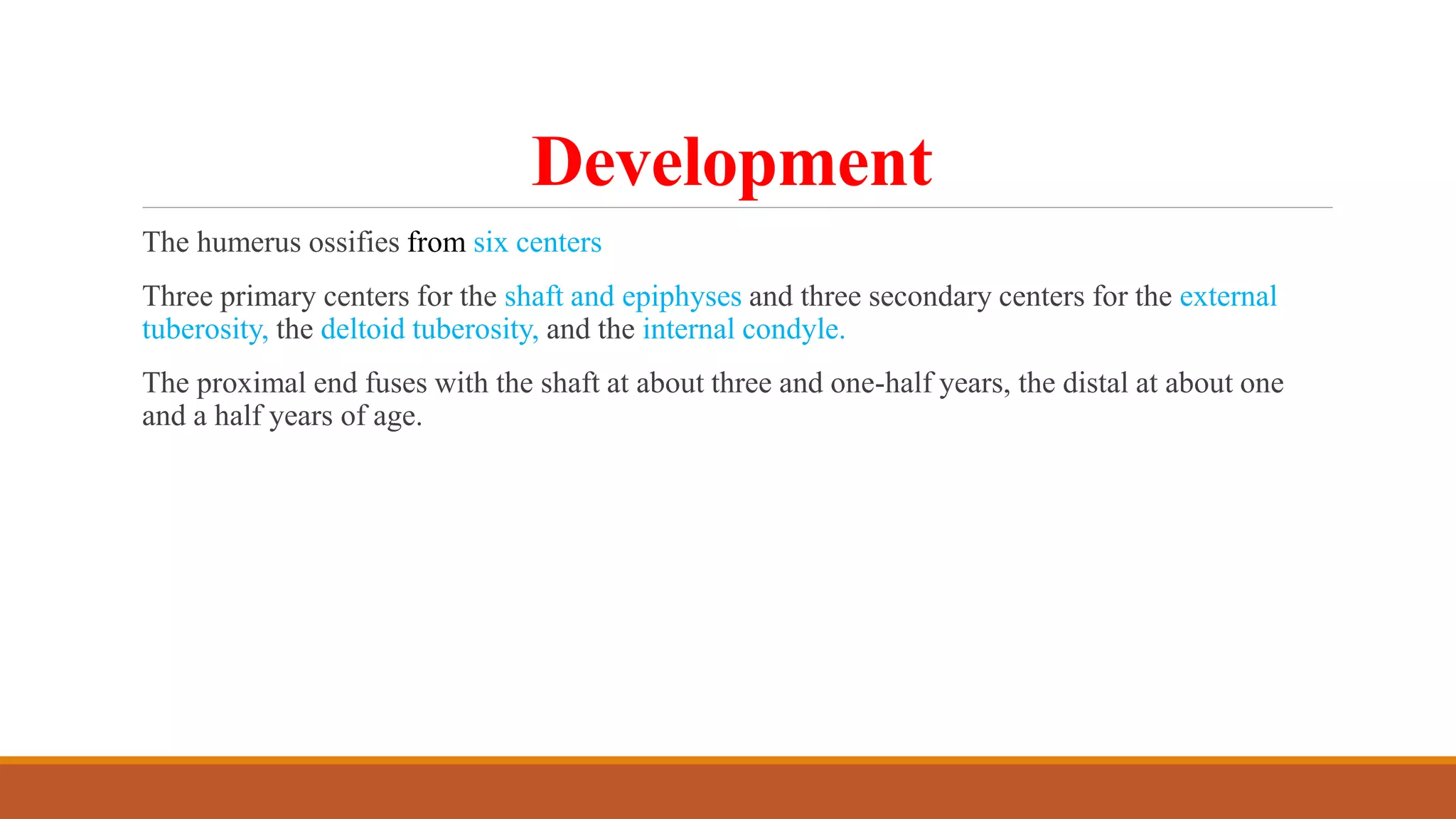 humerus anatomy of domestic animals | PPTX