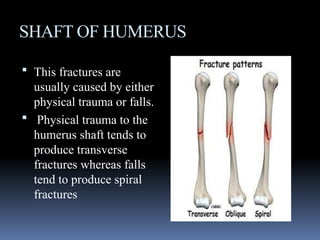 humerus bone and complications of fracture | PPTX
