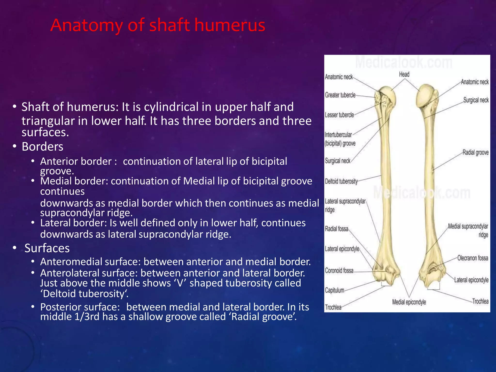 Humerus shaft fracture dr anand | PPTX