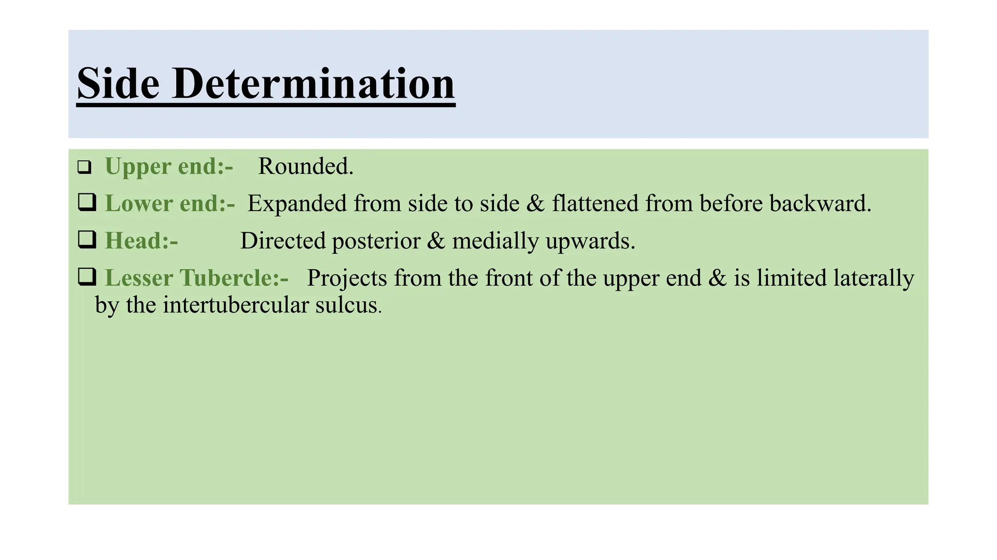 Humerus bone osteology: Upper limb Anatomy | PPTX