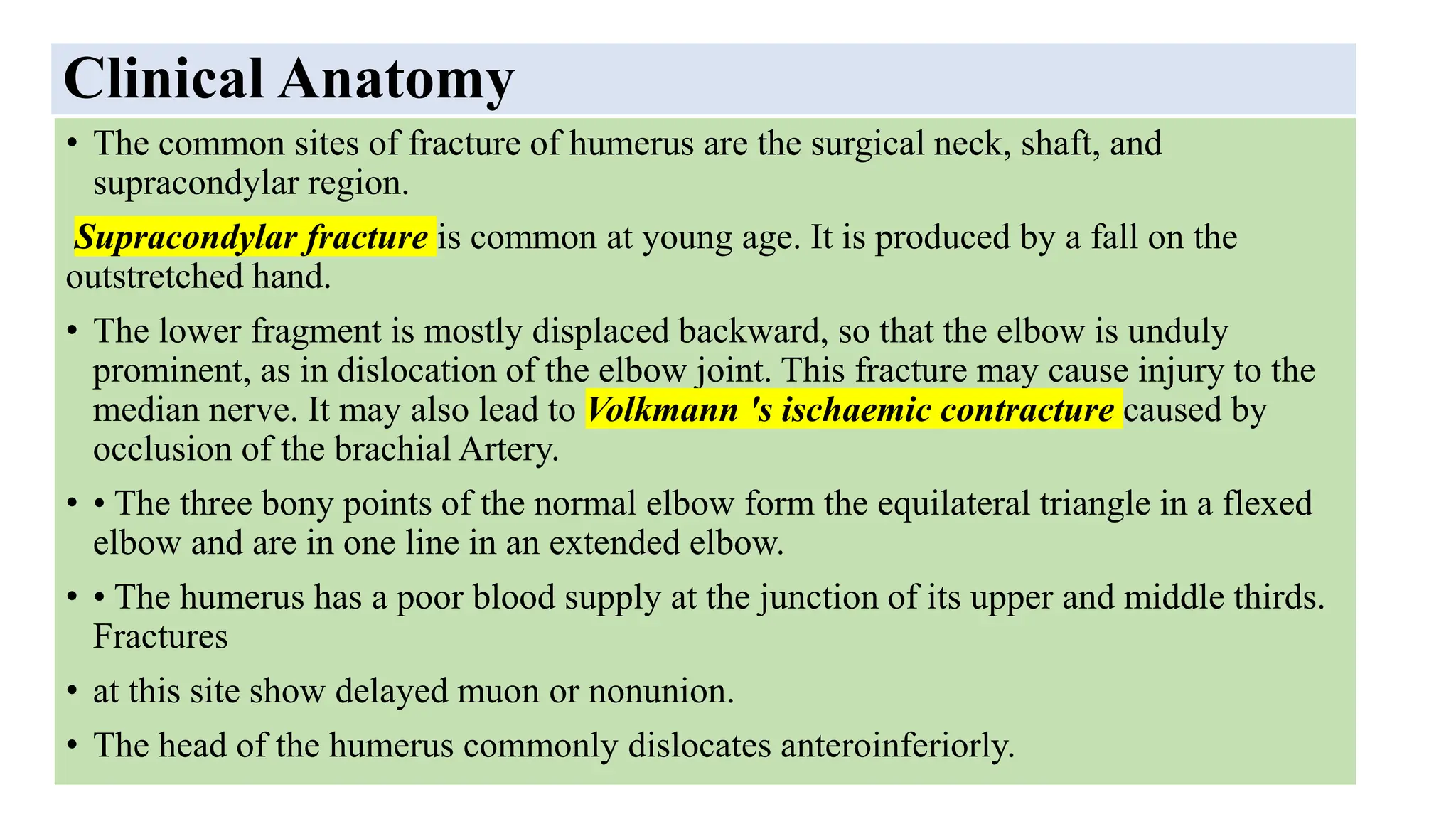 Humerus bone osteology: Upper limb Anatomy | PPTX