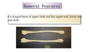 Humerus bone osteology: Upper limb Anatomy | PPTX