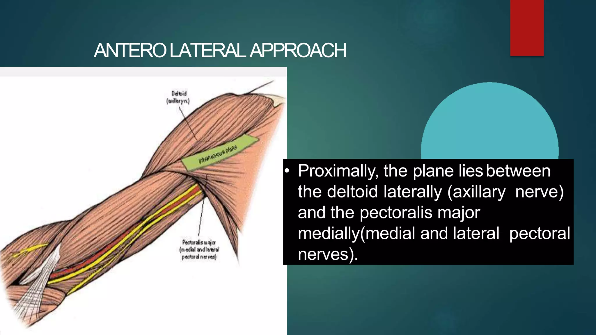 Humerus shaft fracture and elbow dislocation by dr ashutosh | PPT