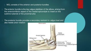 Humerus shaft fracture and elbow dislocation by dr ashutosh | PPTX