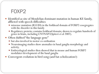 Bio263 Lecture 2: Becoming human | PPT | Genetics | Science