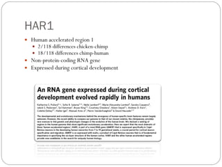 Bio263 Lecture 2: Becoming human | PPT