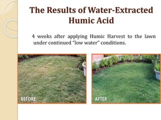 Humic acid lawn store