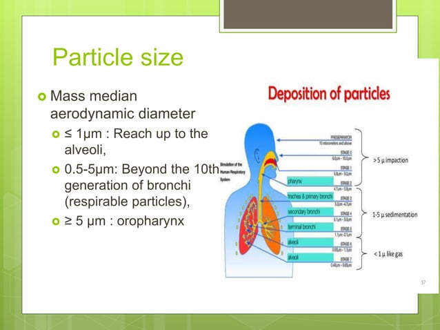 Humidification & nebulization | PPTX | Lung and Respiratory Health ...